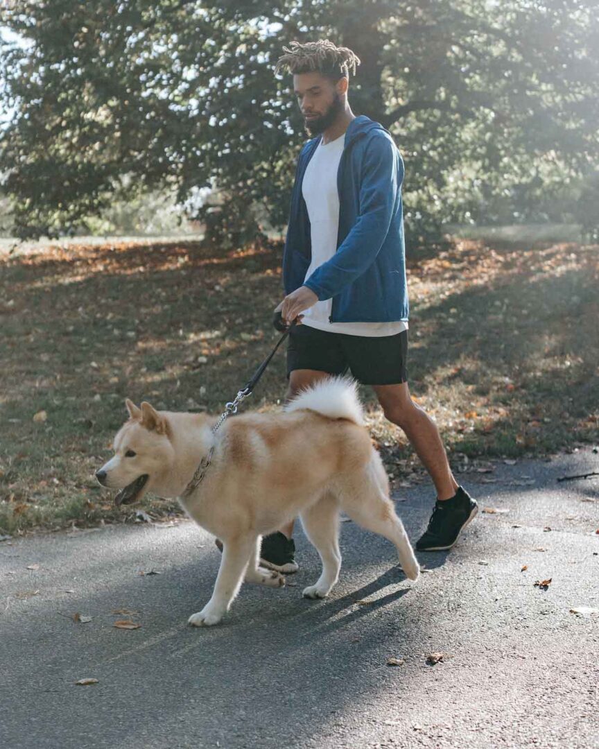 How To Train A Dog To Walk On A Leash