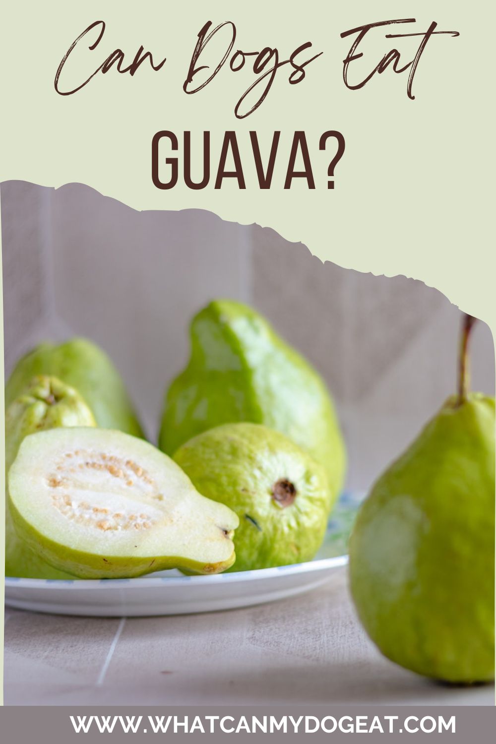 Can Dogs Eat Guava?