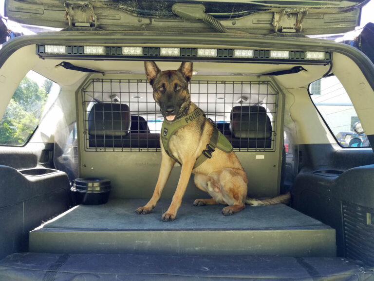 Belgian Malinois Police Dogs