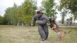 Dog Bite Training