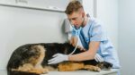 10 Reasons Why You Should Think Twice Before Getting A Purebred