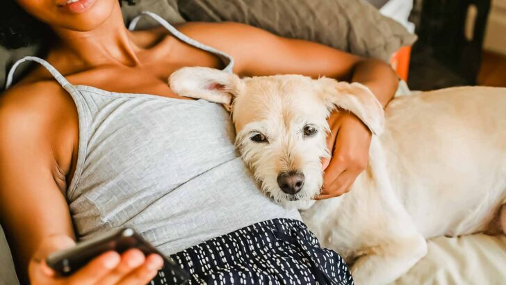 12 Dog Breeds That Are Surprisingly Low Energy