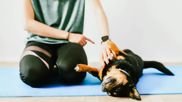 9 Things Your Dog Hates That You Probably Do