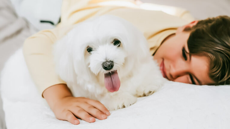 10 Dog Breeds That Are Perfect For First-Time Owners