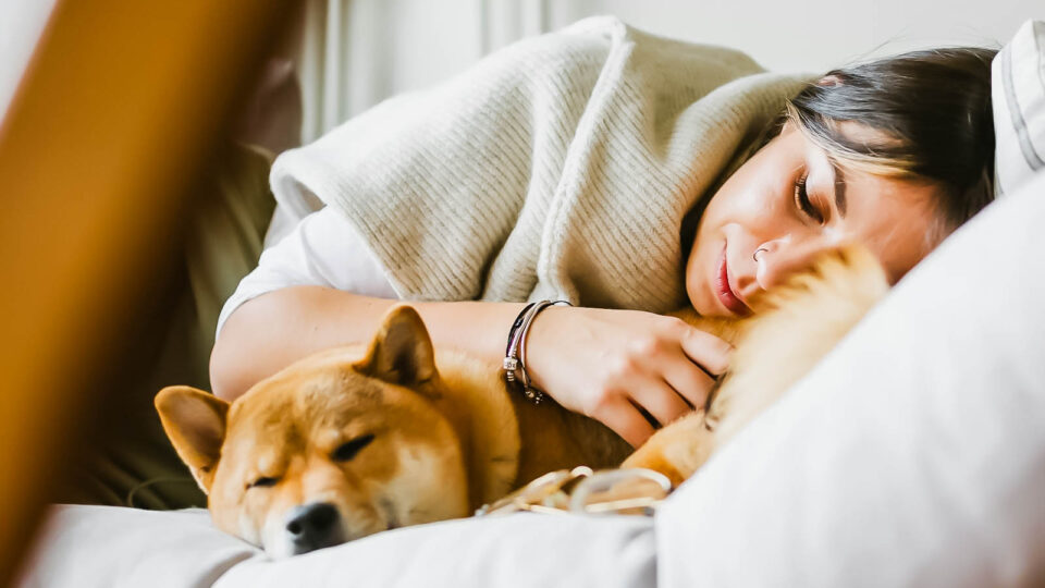 9 Pros and Cons of Letting Your Dog Sleep in Your Bed