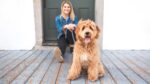 10 Doodle Dog Realities You Need to Know About These Popular Pets