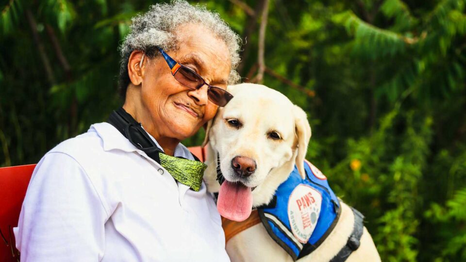 11 Unusual Jobs Dogs Can Perform Better Than Humans