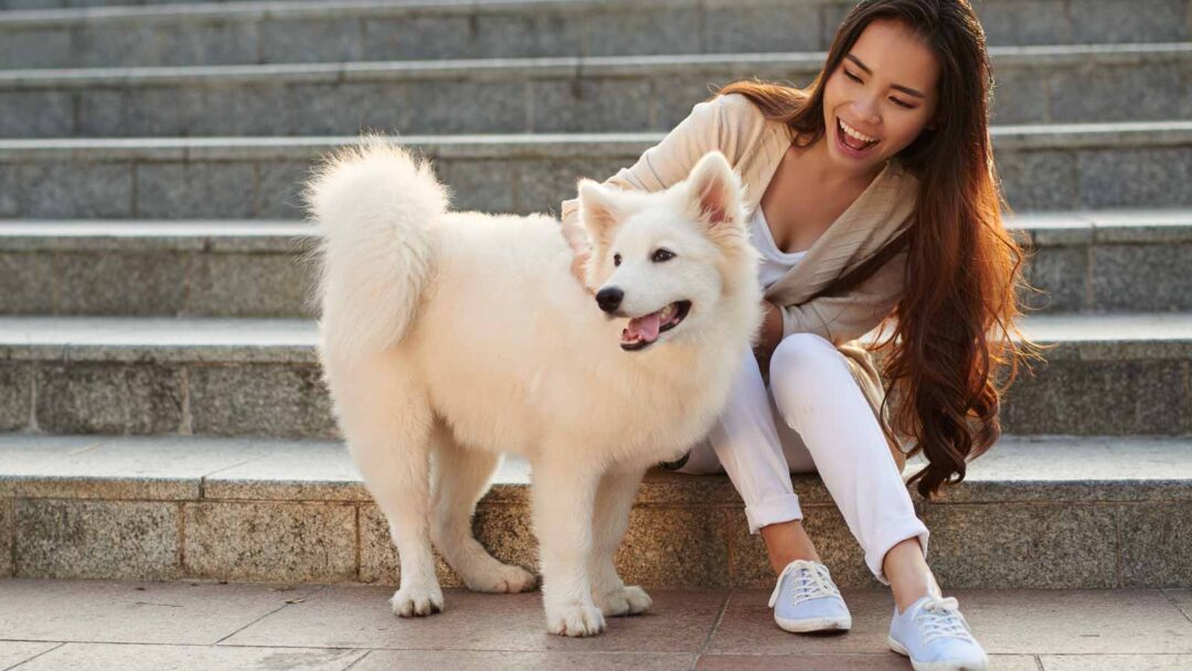 15 Friendliest Dog Breeds Everyone Feels Safe Around
