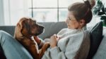 13 Of The Clingiest Dog Breeds That Follow You Everywhere