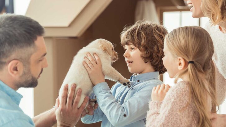 15 Dog Breeds That Are Perfect For Families With Kids