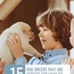 15 Dog Breeds That Are Perfect For Families With Kids