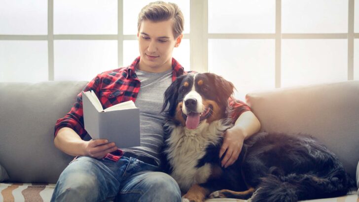 10 Dogs That Bond Most Strongly with One Person