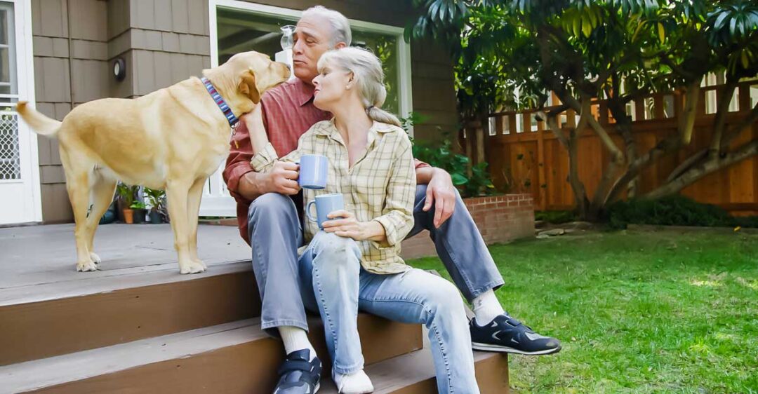 10 Reasons Why Every Senior Should Have a Dog